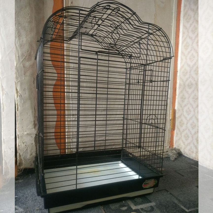 Клетка