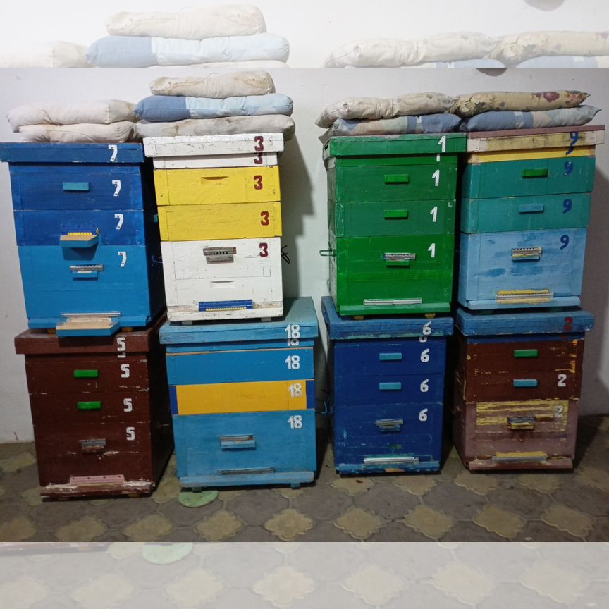 Ульи для пчел