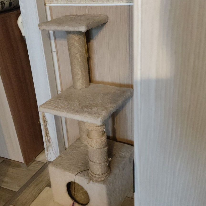 Когтеточка с домиком бу