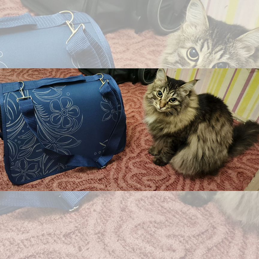Переноска для животных