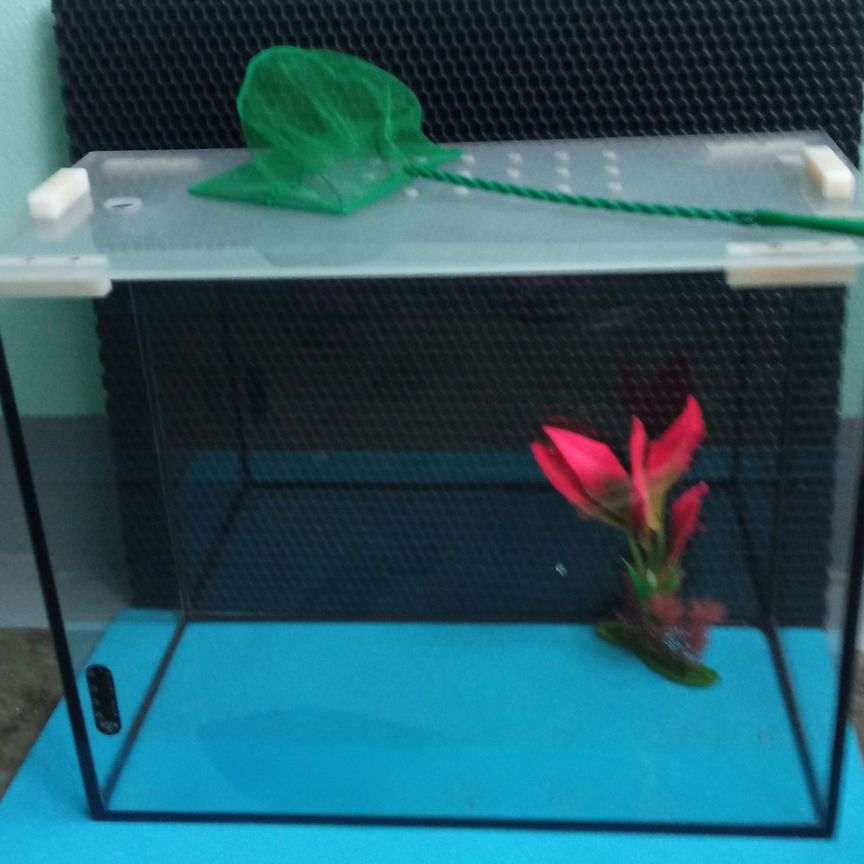 Аквариум,объёмом 50 литров