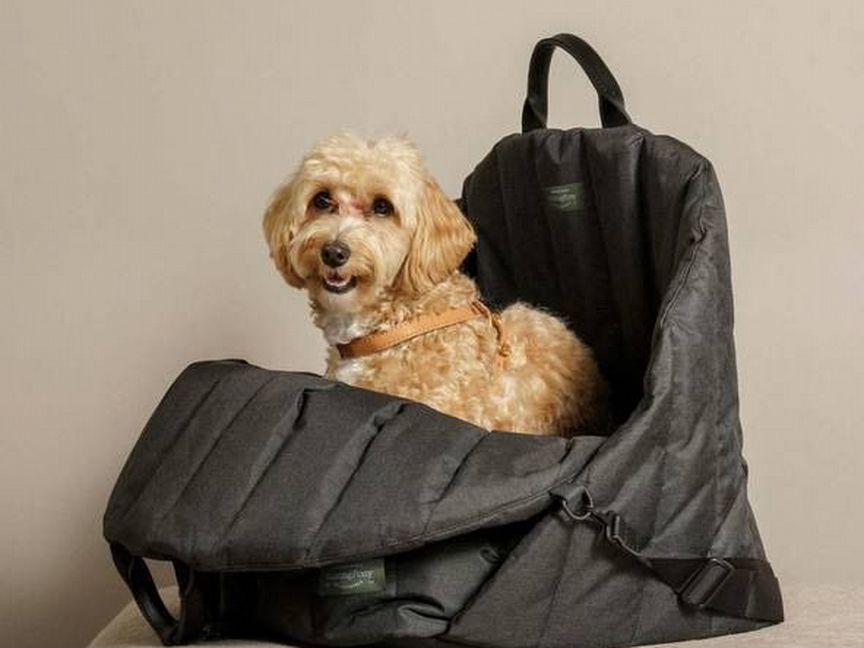 Сумка переноска для собак автокресло