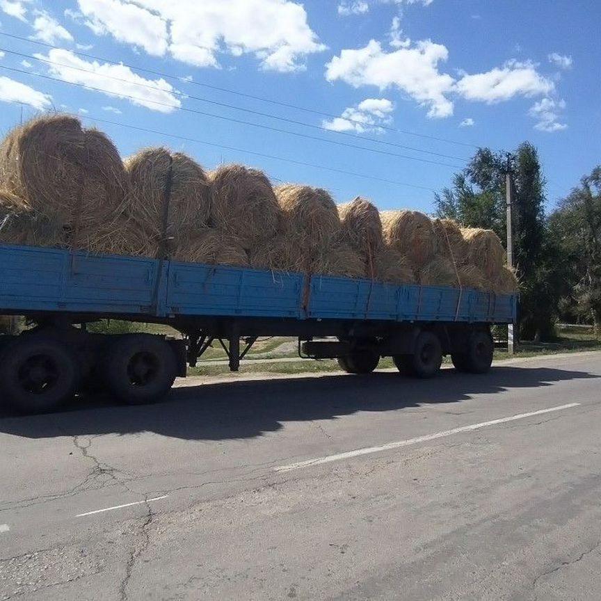 Луговое сено