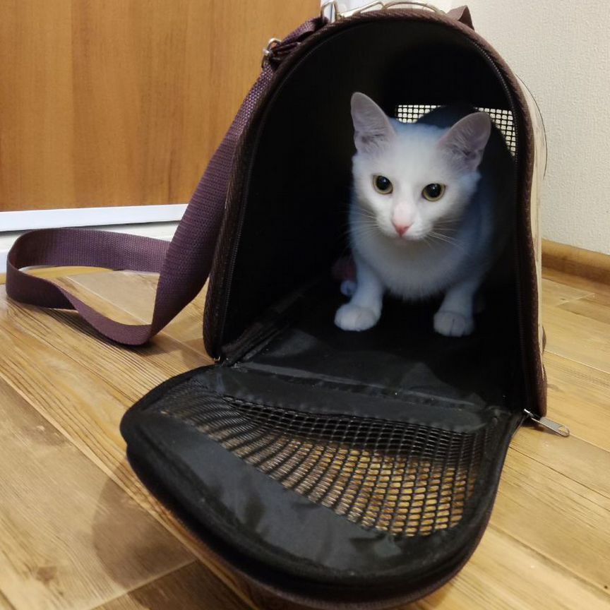 Сумка переноска для животных