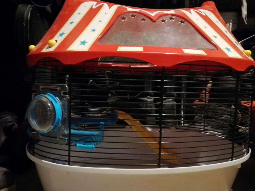 Клетка для грызунов ferplast circus fun