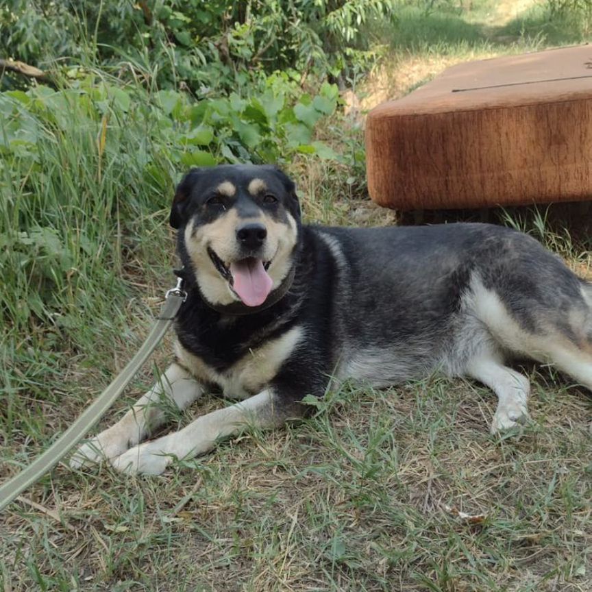 Джуля ищет семью