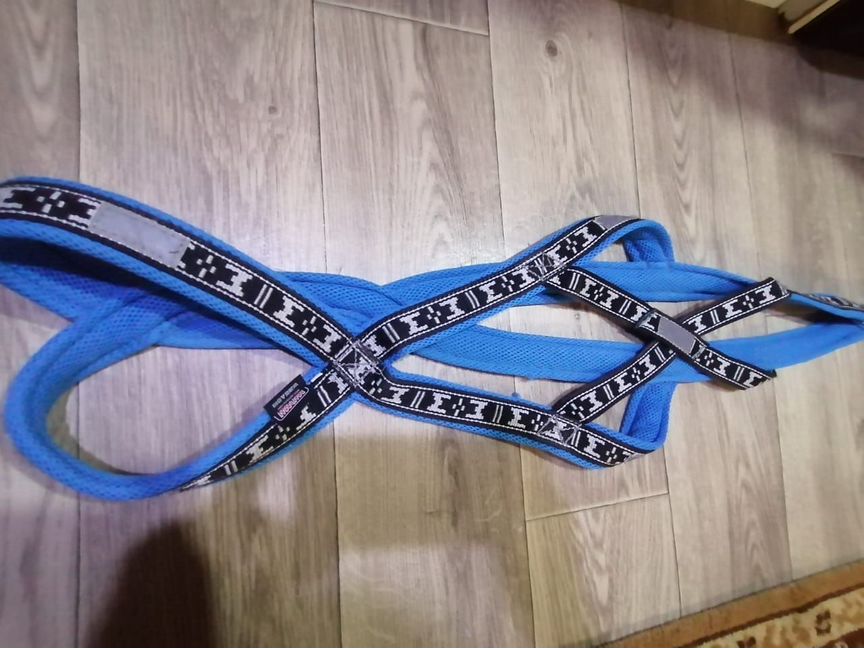 Шлейка ездовая для собак