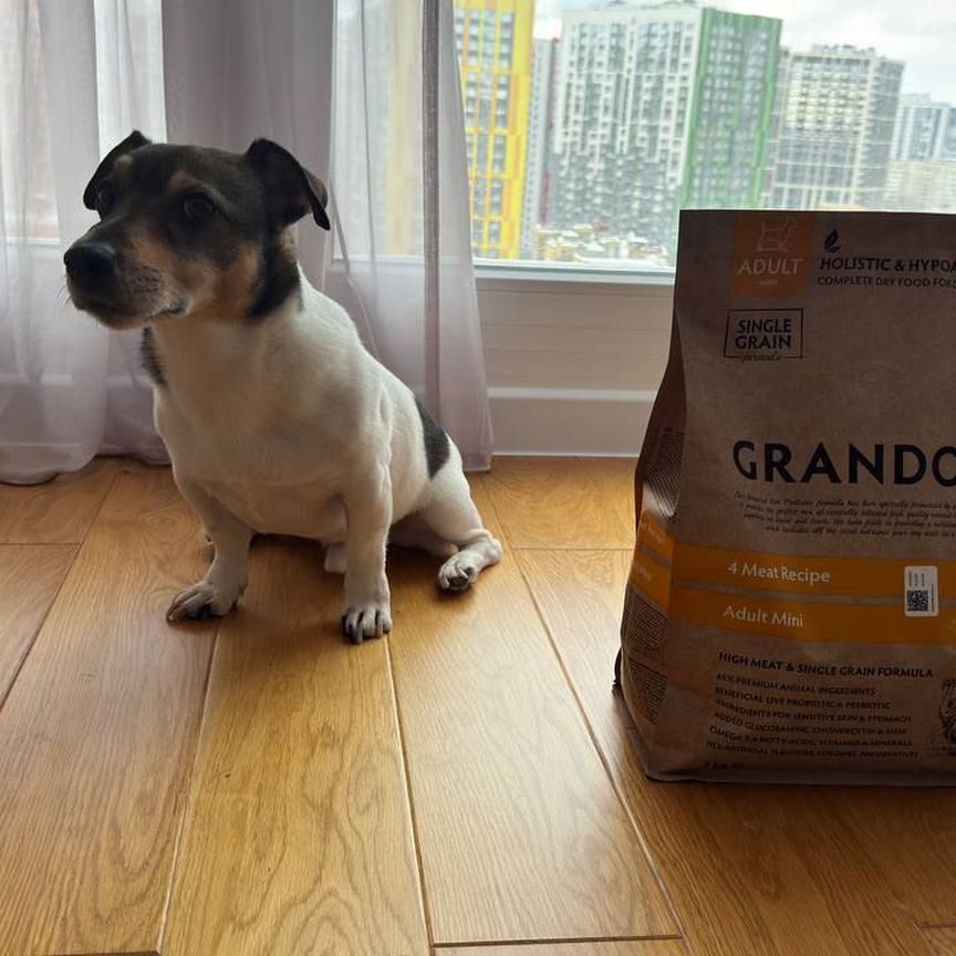 Grandolf корм холистик для собак