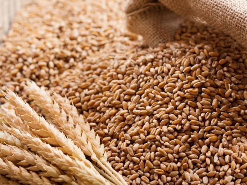 Пшеница обмен на овец