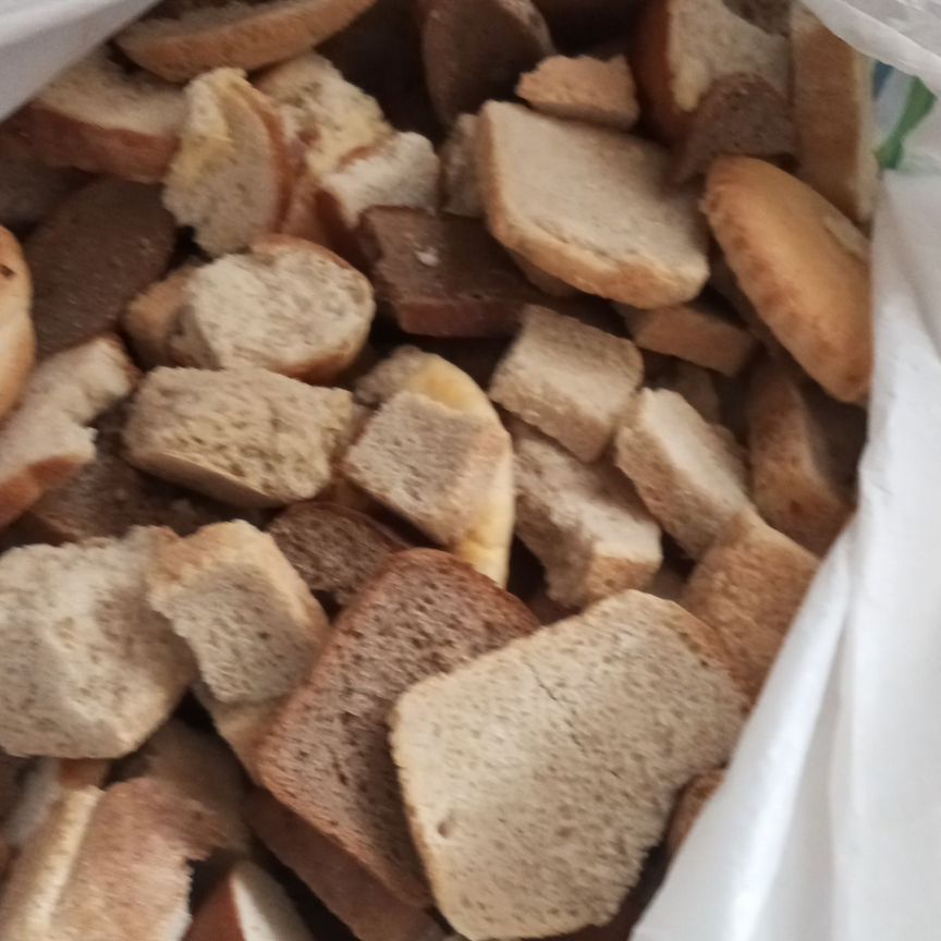 Сухари для животных