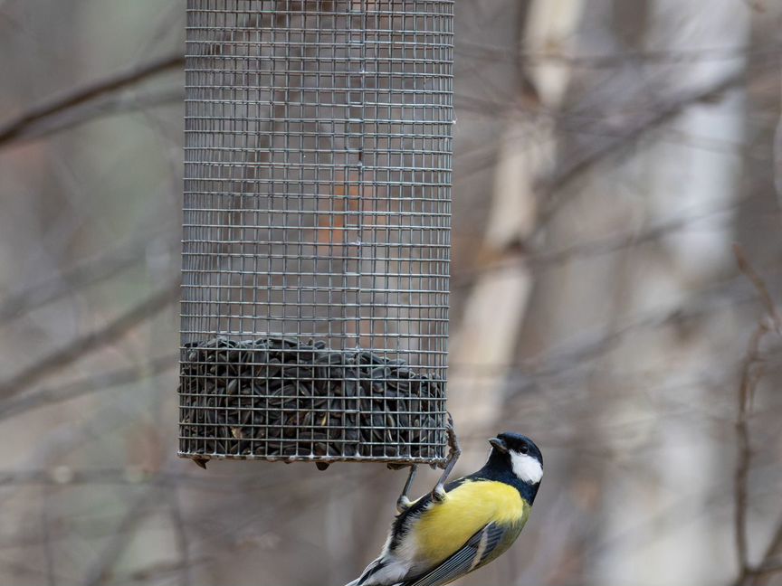 Кормушка для птиц сетчатая