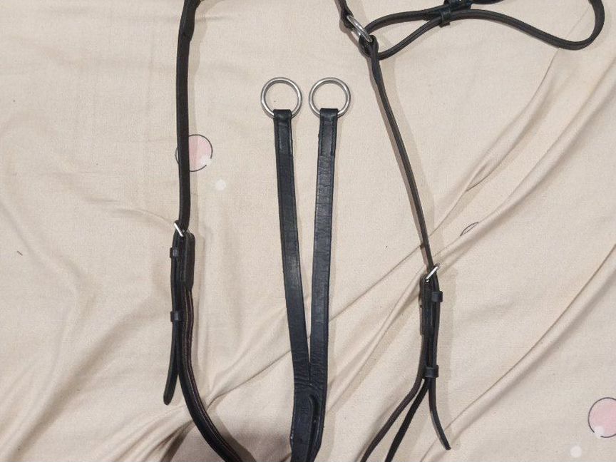 Амуниция для лошади