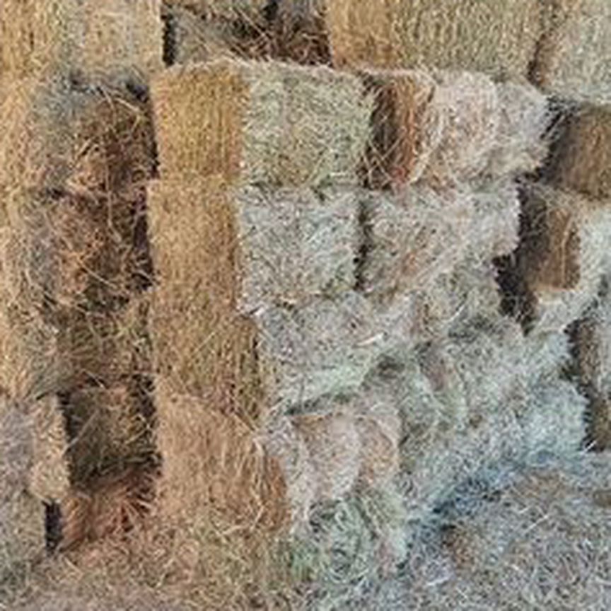 Сено в тюках