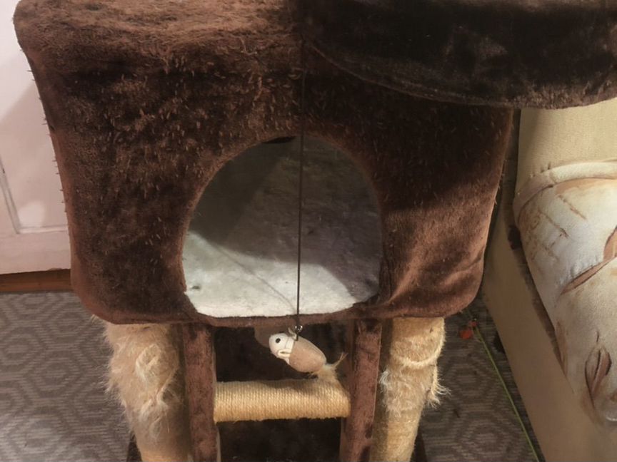 Когтеточка домик для кошки бу