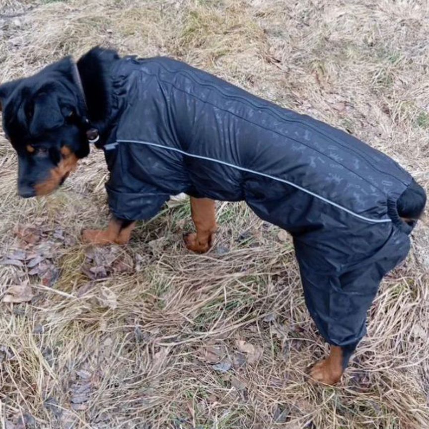 Продам комбинезон