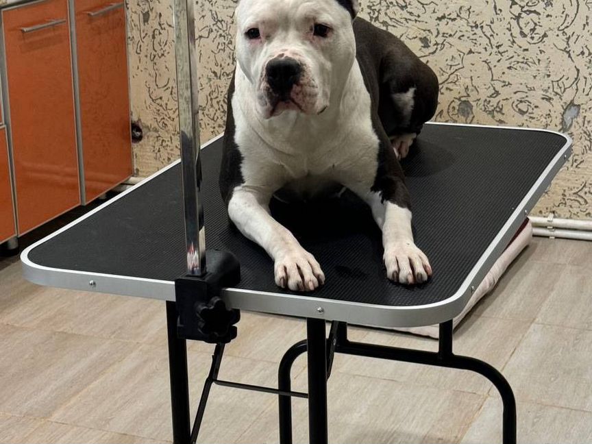 Столы для груминга новые