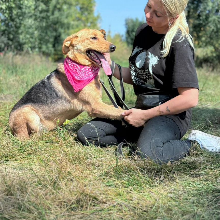 Баффи- рыжуля из приюта ищет семью