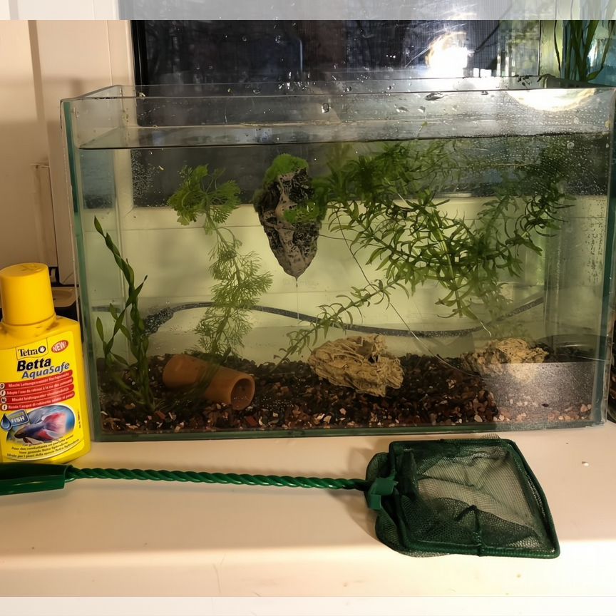 Готовый аквариум 9л