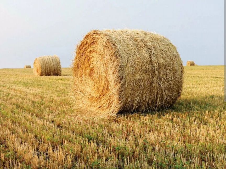 Солома в рулонах
