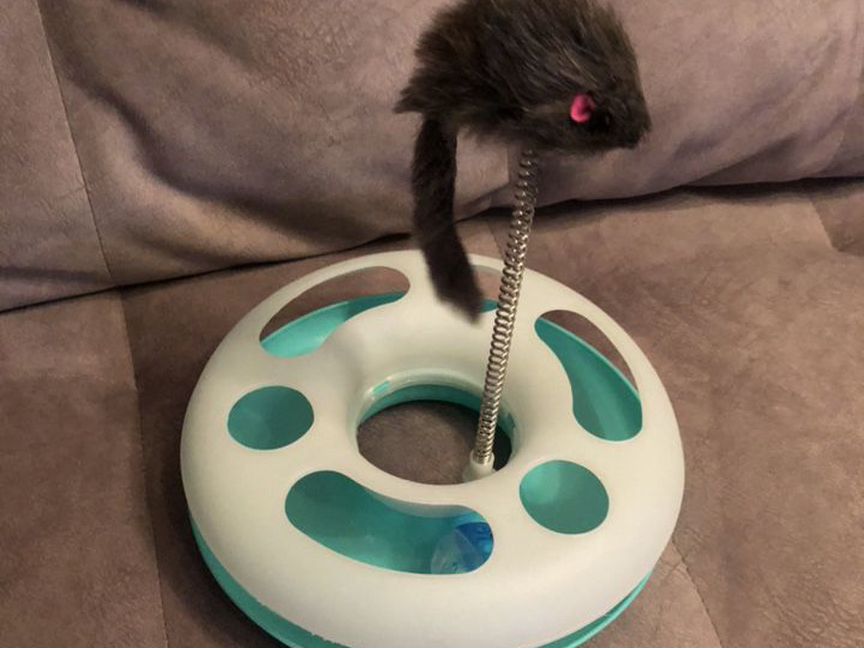 Игрушка для кошек. Смышкой на пружине и мячиком