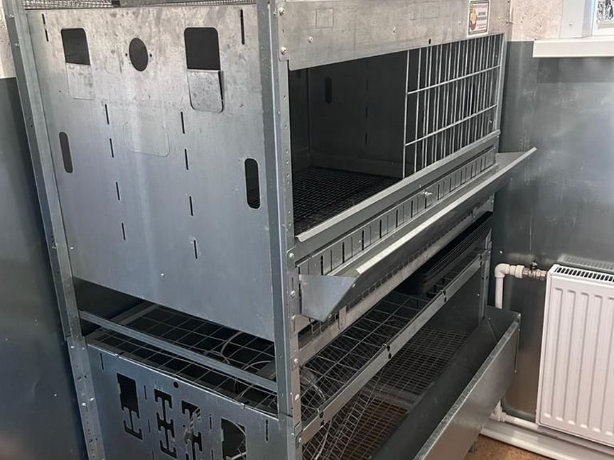 Брудер для цыплят, утят, перепелов