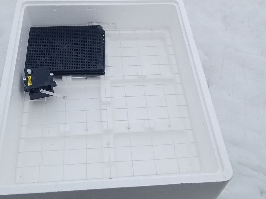 Инкубатор для яиц автоматический