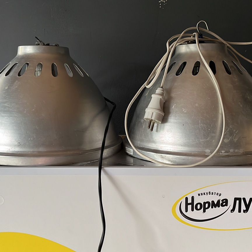 Все для птицы