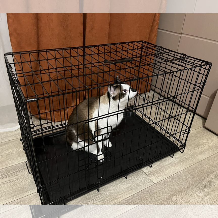 Аредна клетки для котов и не больших собак