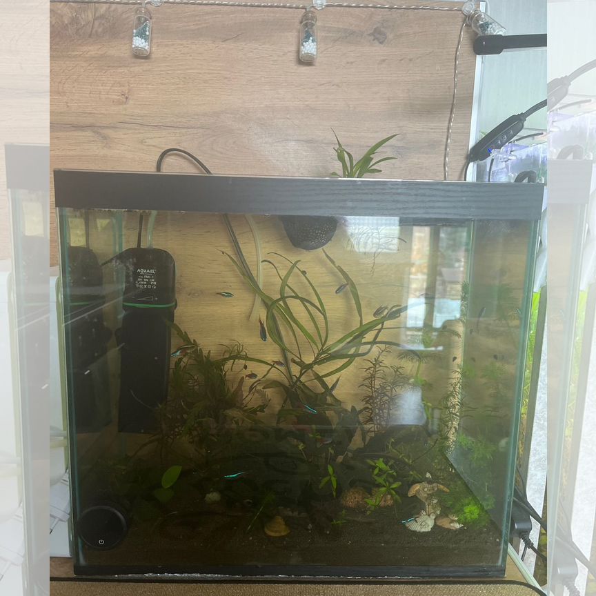 Аквариум
