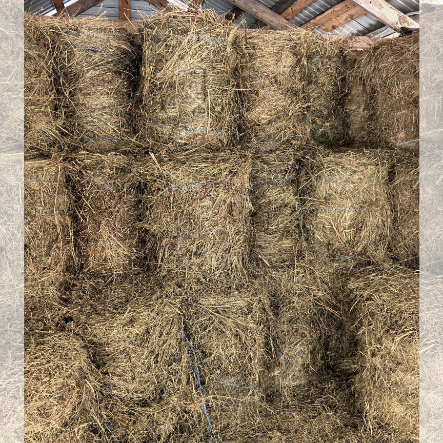 Сено в тюках