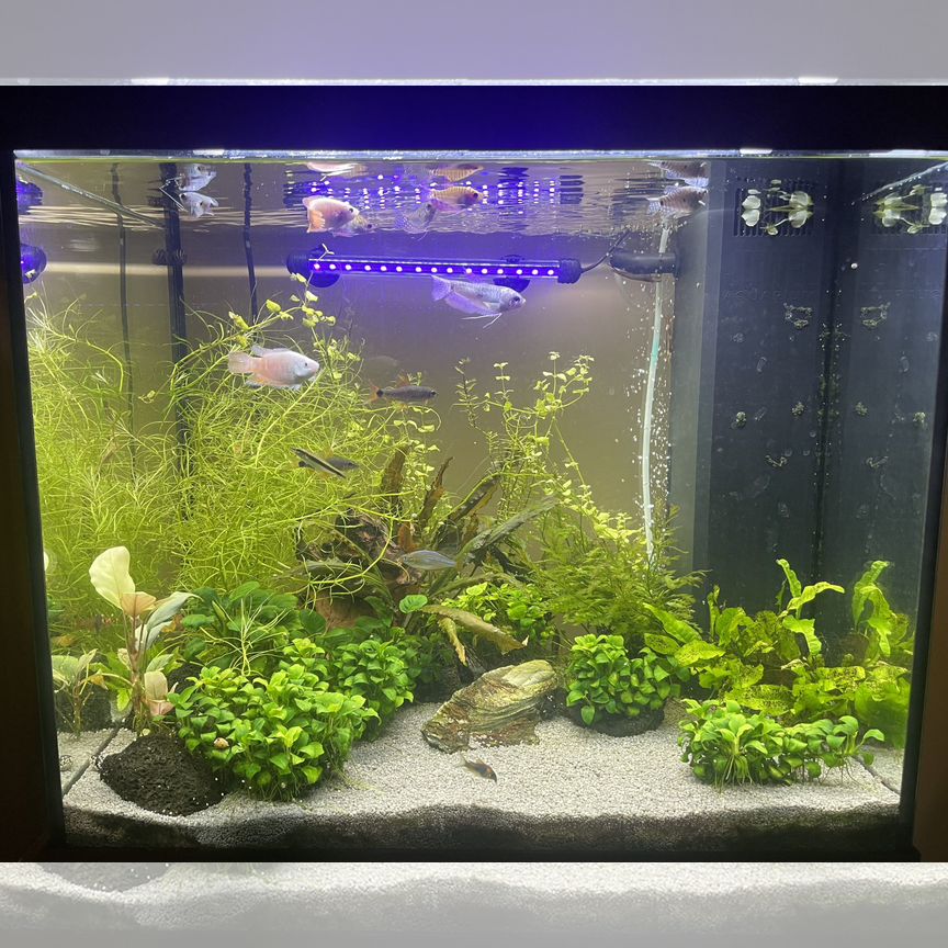 Аквариум juwel Lido120 LED 120л, с тумбой