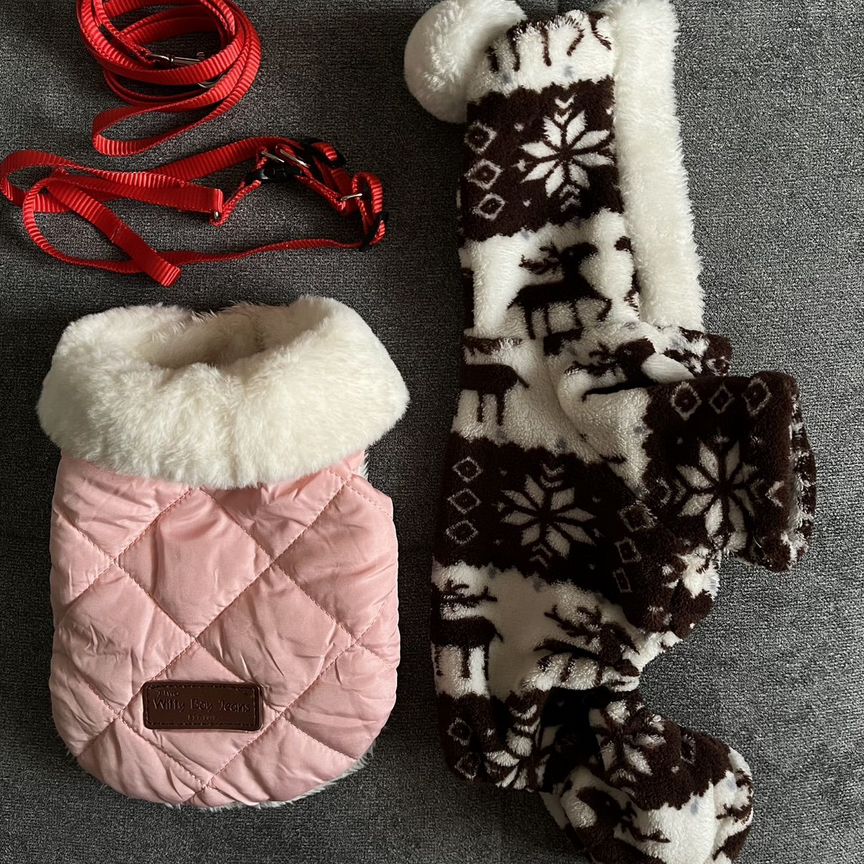 Одежда для маленьких собак