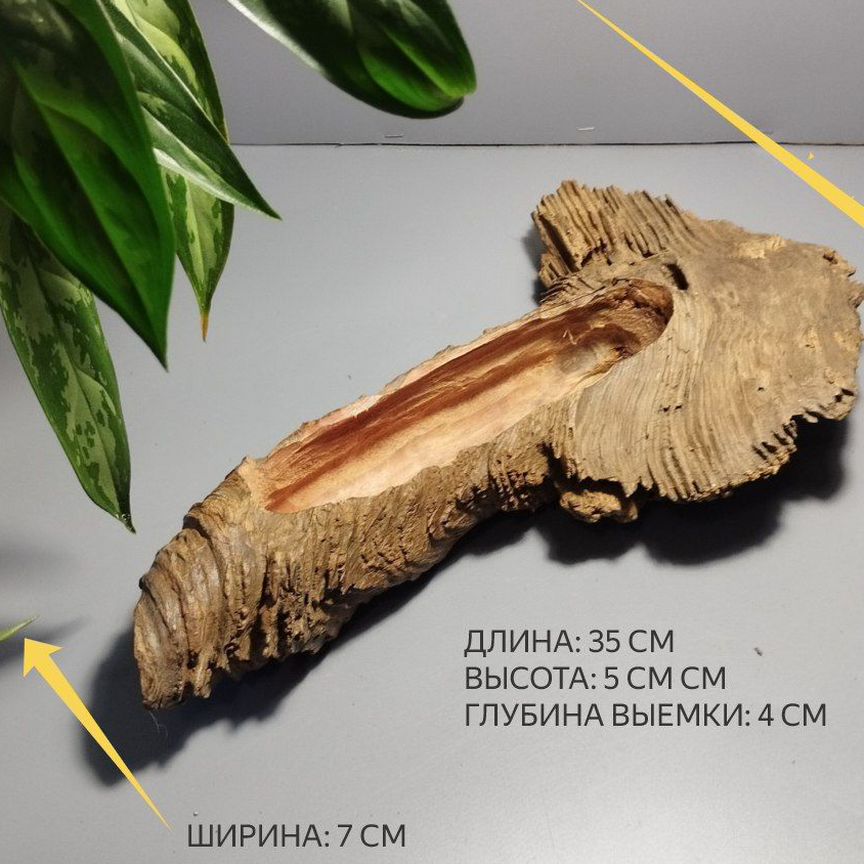 Коряга натурал. с отверстием для посадки растений