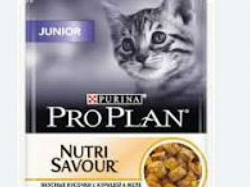 Корм для Котят
