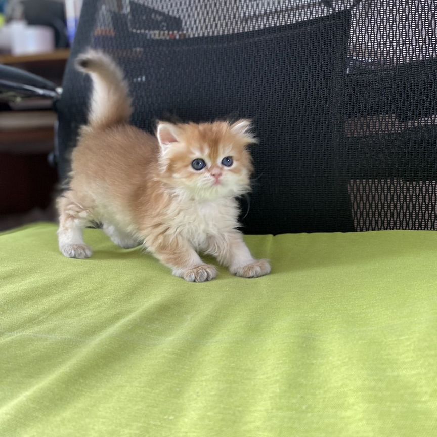 Милая девочка