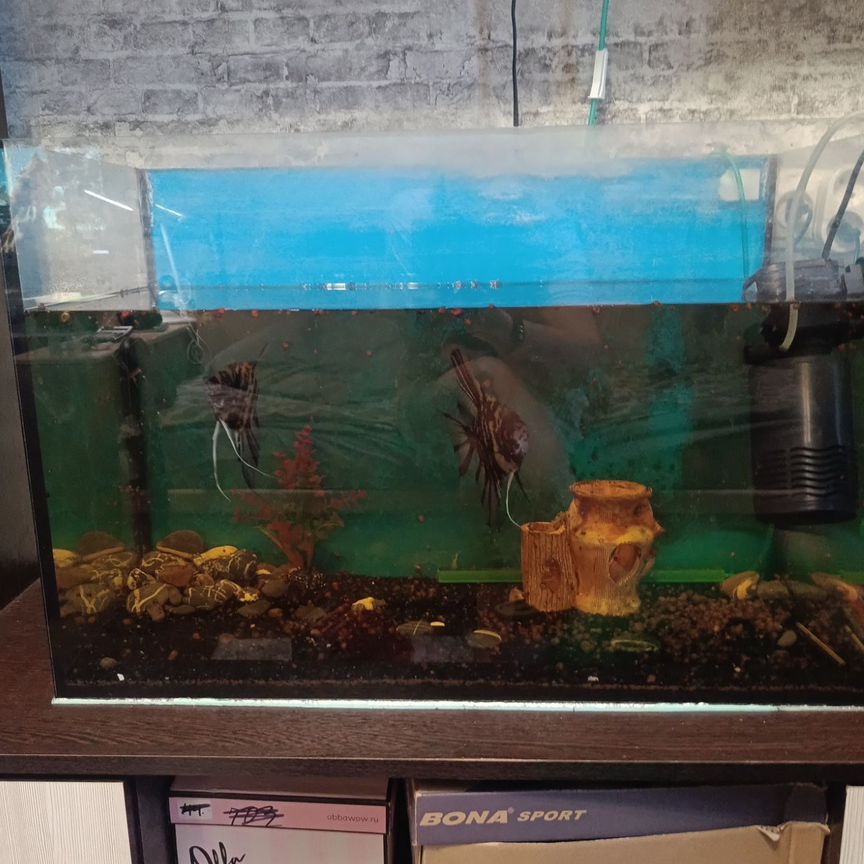 Аквариум 100 литров с рыбками