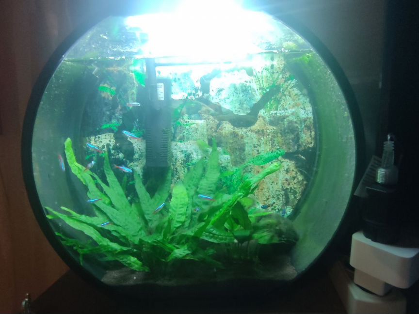 Аквариум Deco 20 литров