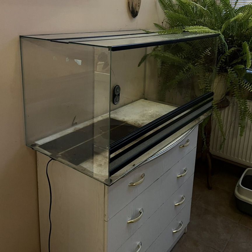 Террариум для рептилий