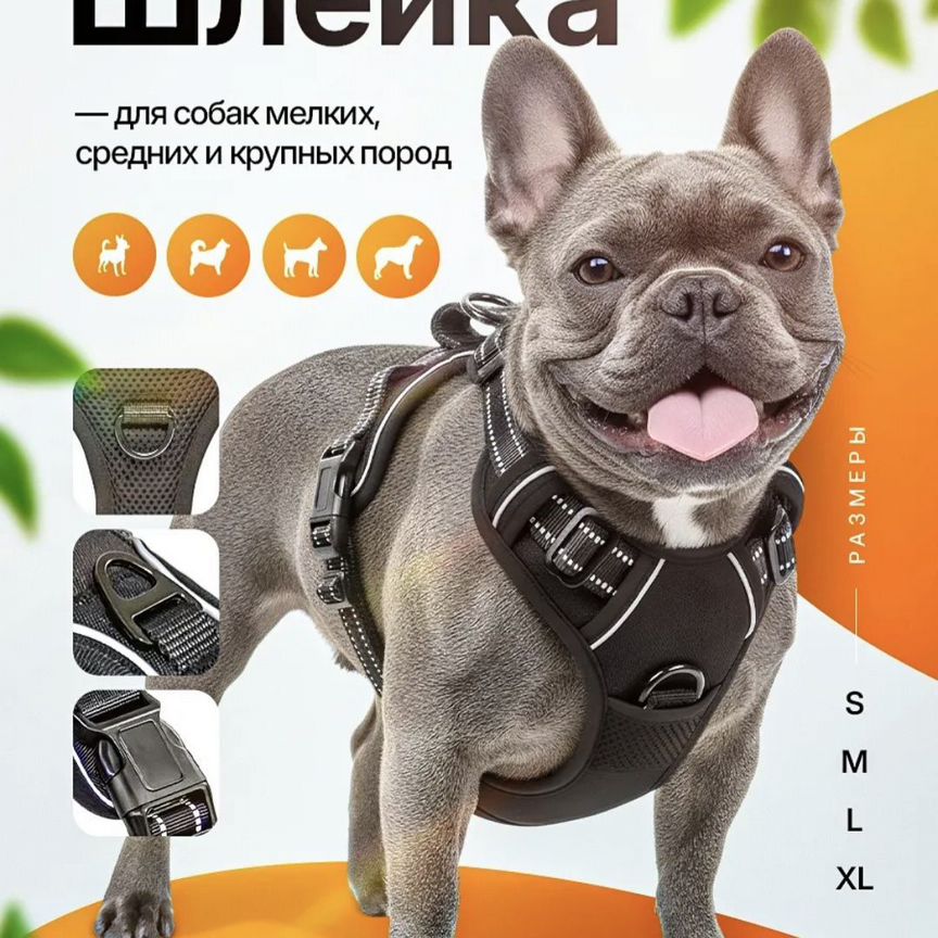 Шлейка для собаки