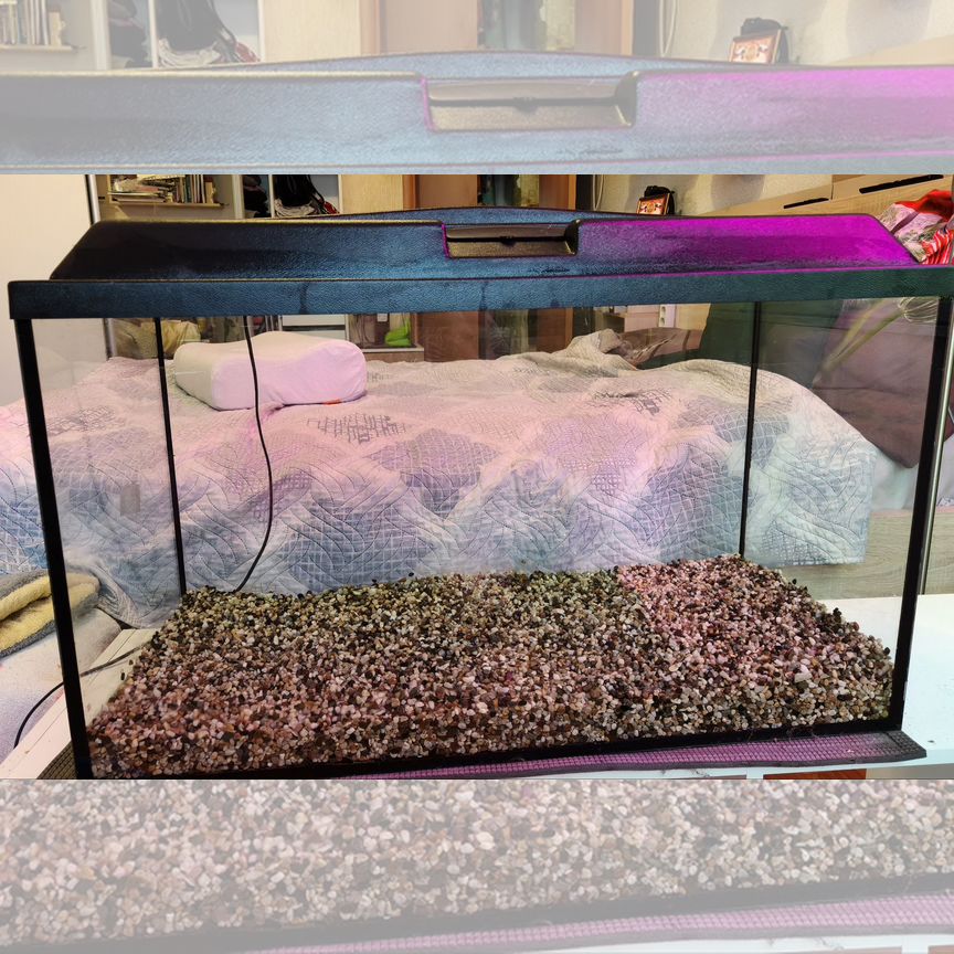 Продам аквариум 100 л с крышкой и освещением