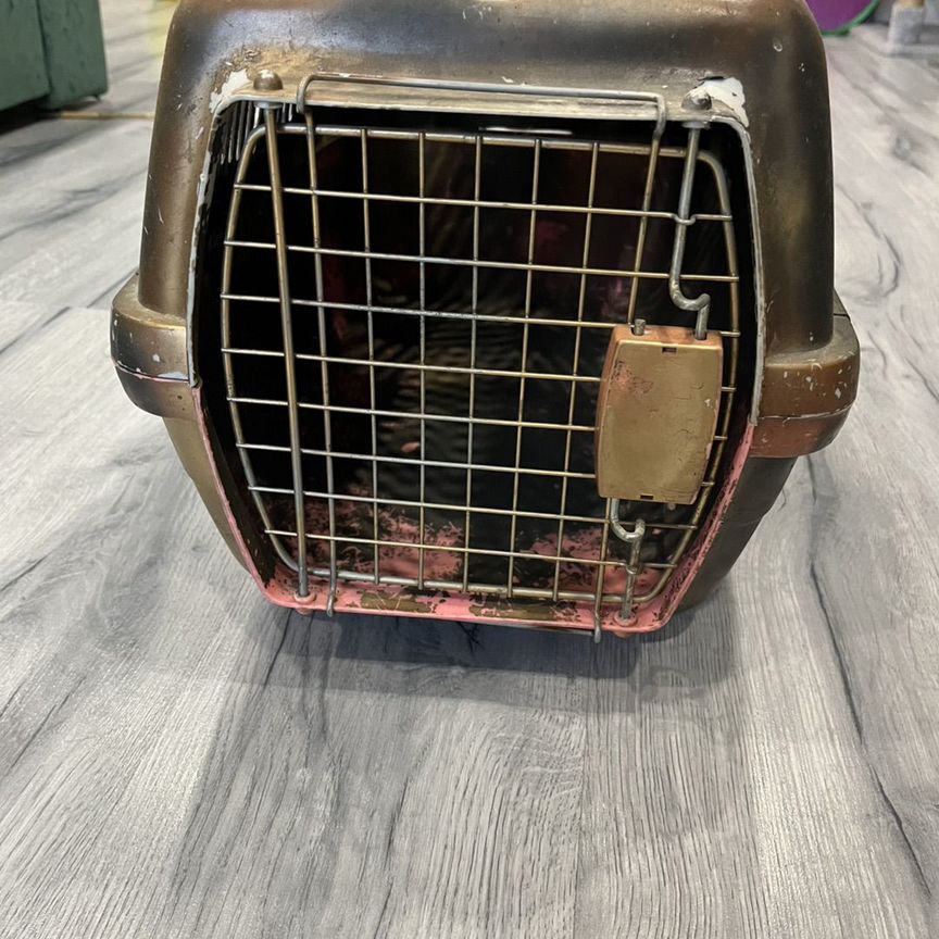 Переноска доя домашних животных + миска