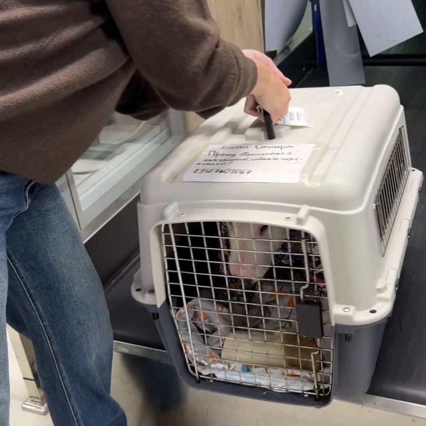 Клетка переноска для собак большая