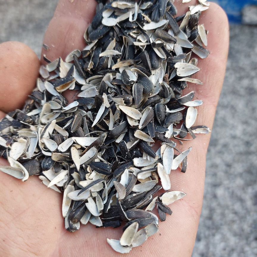 Лузга подсолнечника