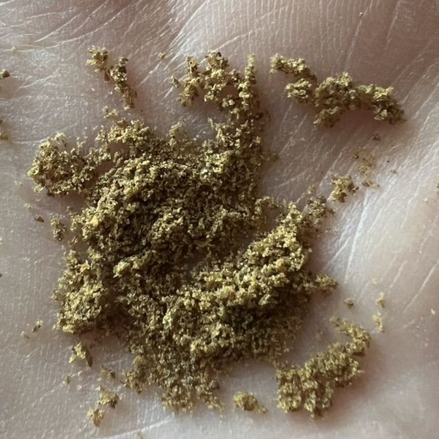 Корм для мальков рыб / Coppens Vital