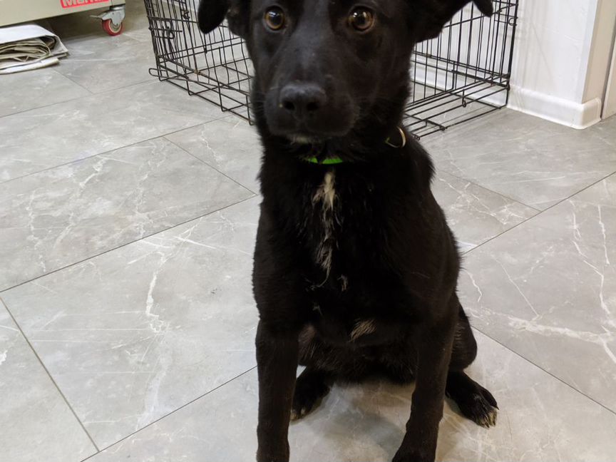 Спасите малышку