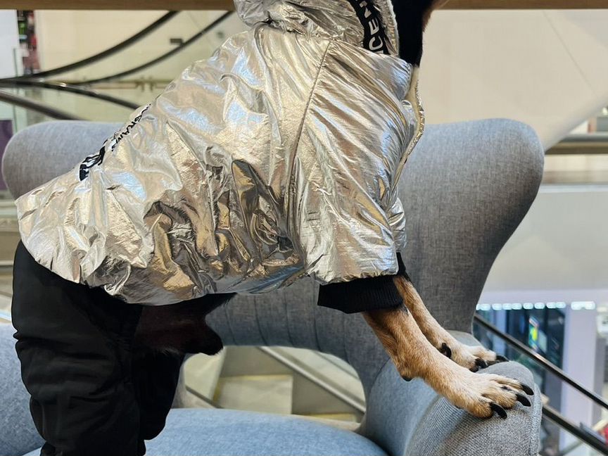 Зимний комбинезон для маленькой собаки