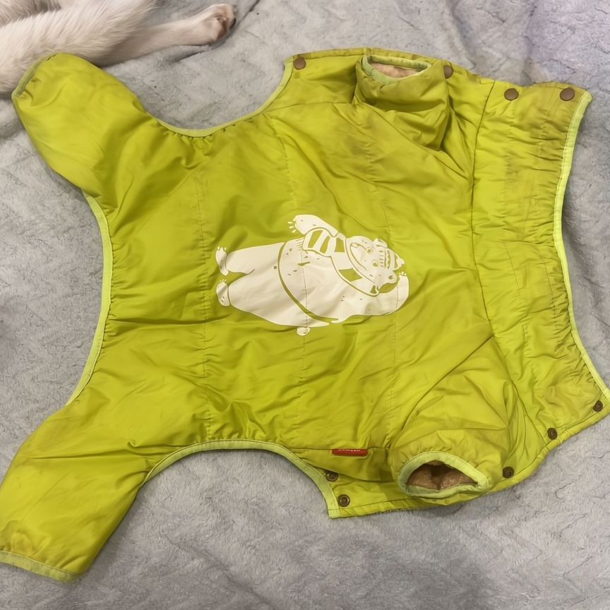 Одежда для собак