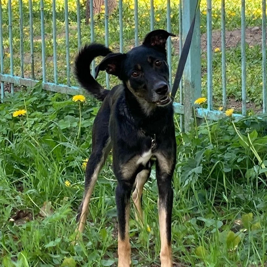 Сэм ищет семью