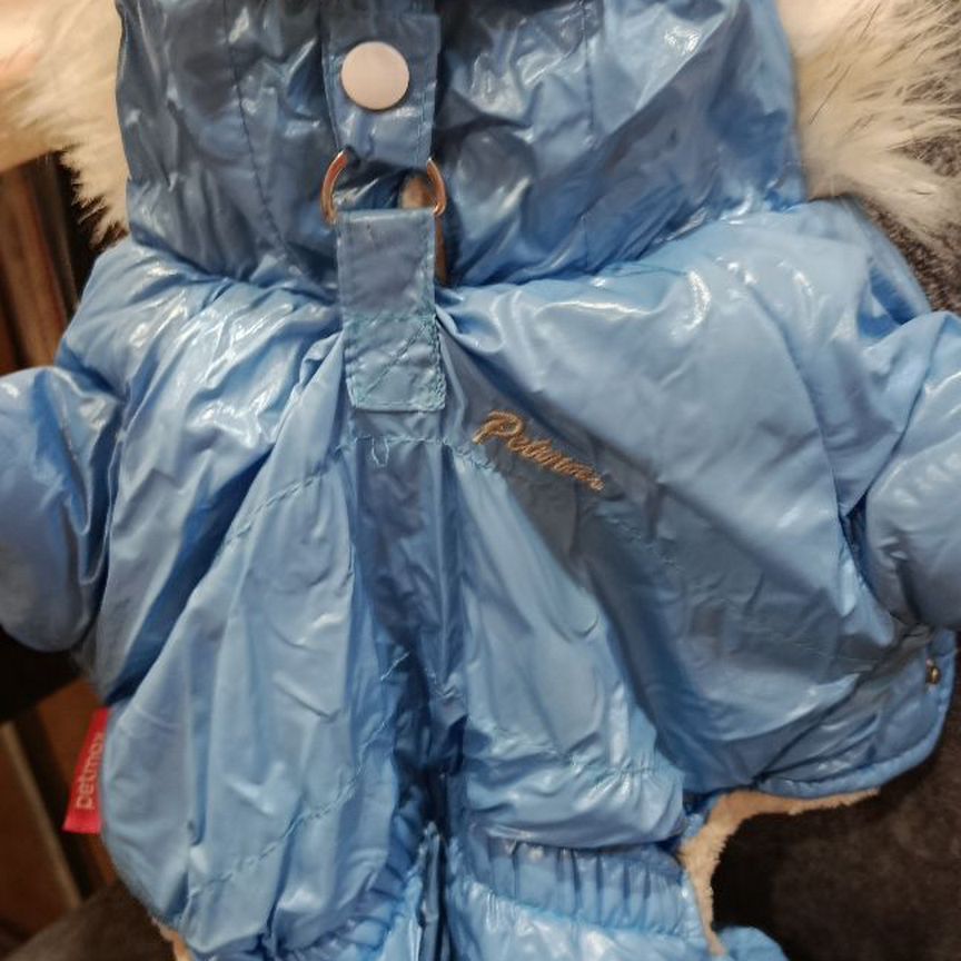 Одежда для маленьких собак