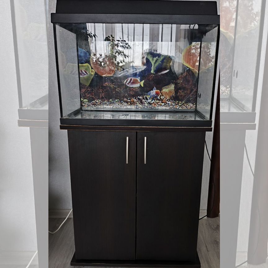 Аквариум Juwel с тумбой 80 л